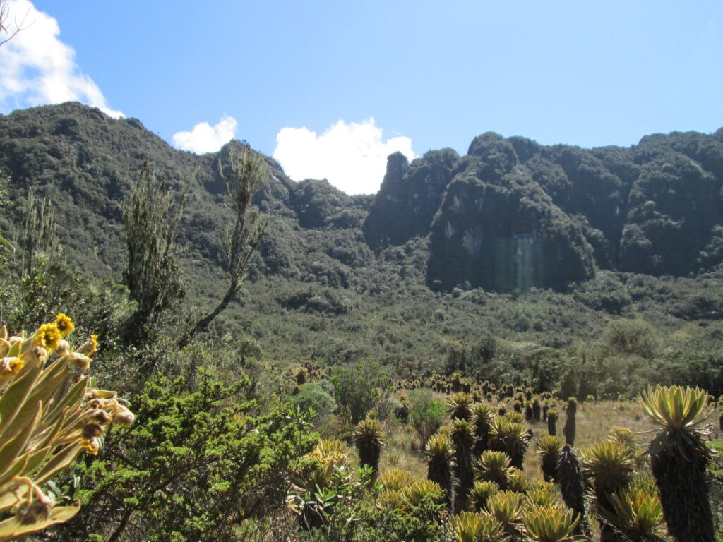 Colombia has 3 of the world's best preserved natural parks